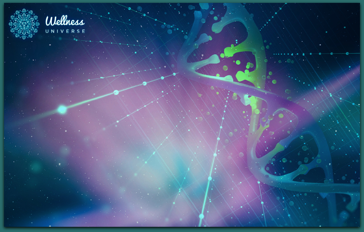 Release: Healing Ancestral and Karmic Signatures ⋆ The Wellness ...