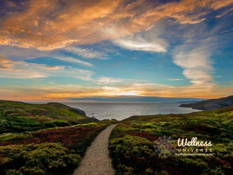 Stellar Acts by Stellar Folks: Susanne Heaton\'s story - The Wellness ...