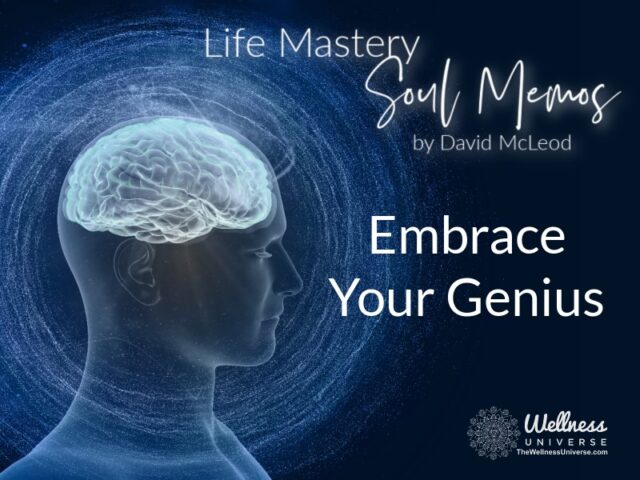 Life Mastery Soul Memos with David Mcleod: Embrace Your Genius