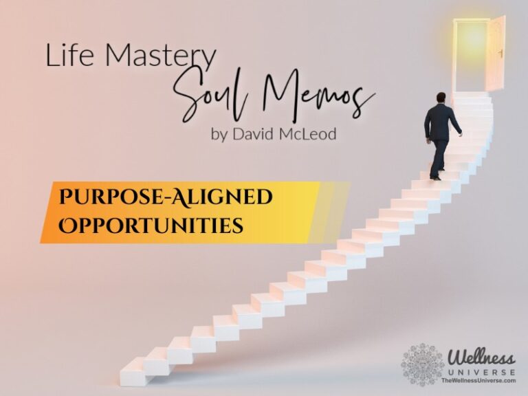 Life Mastery Soul Memos with David McLeod | Purpose-Aligned ...