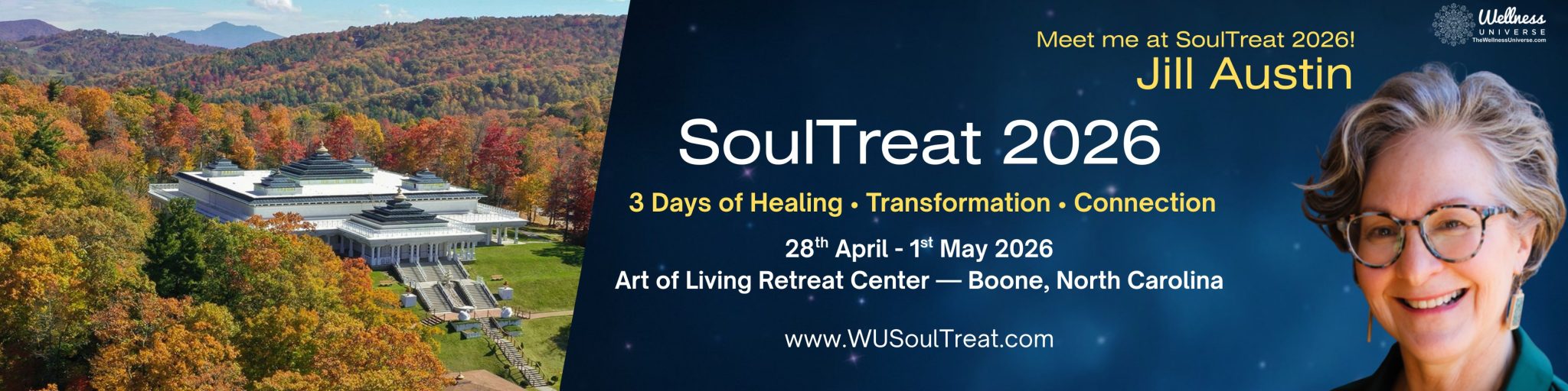 From Burnout to Conscious Leadership: An Interview with Jill “GiGi ...